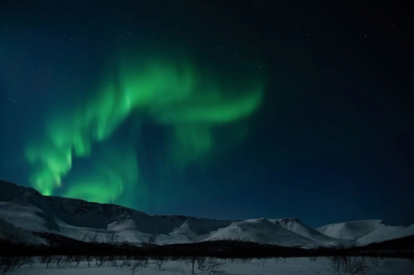 Winter Magic: Iceland in December & activities highlights – Firefly Iceland