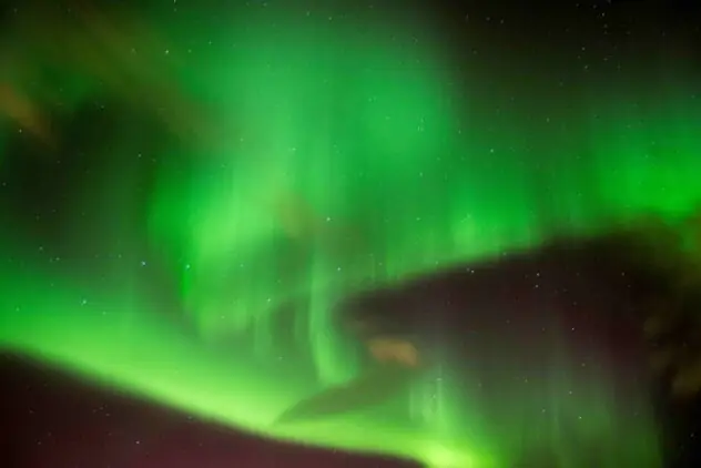 A complete guide to Hellulaug hot springs in the Westfjords – Firefly ...