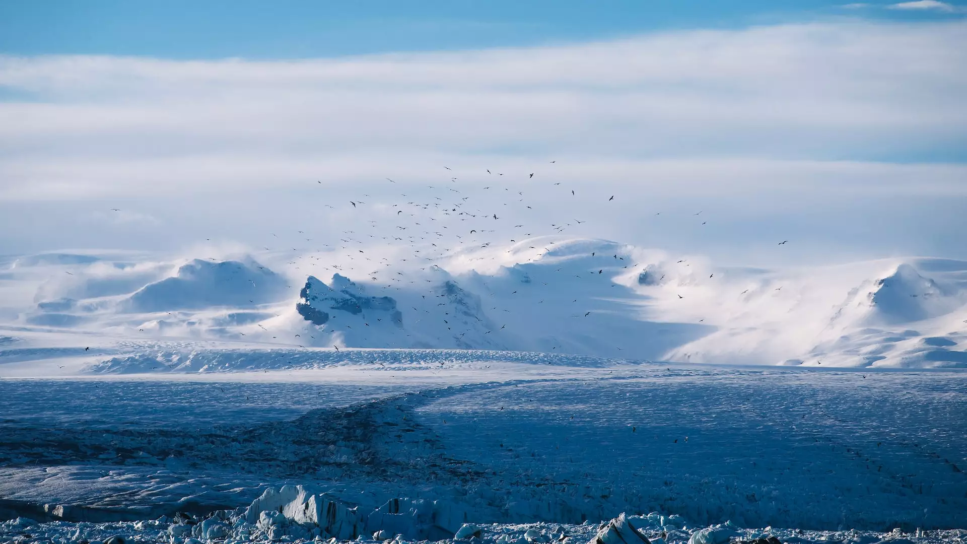 Iceland in November: Weather, Northern Lights & Travel Tips – Firefly ...