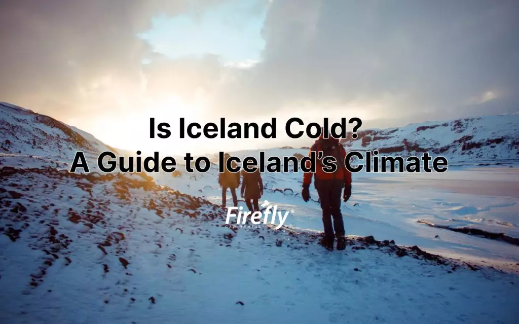 A Guide to Iceland’s Climate, and Is Iceland Cold? – Firefly Iceland