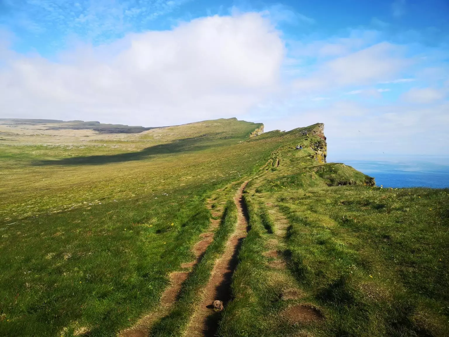 Birdwatching in Iceland: Top Spots, Iconic Species & Tips – Firefly Iceland