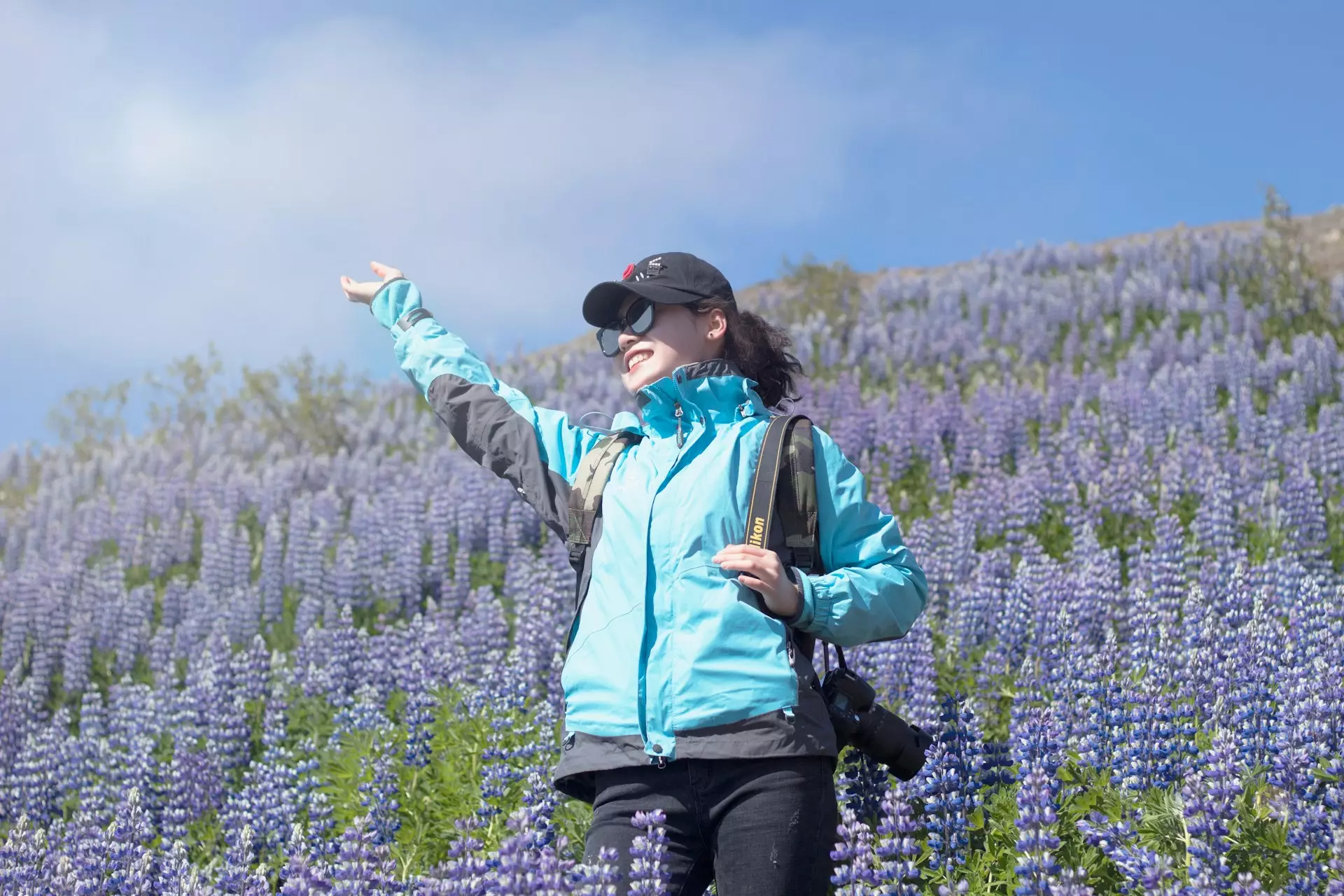 Is Iceland Cheap? The Ultimate Budget Travel Guide for 2025 – Firefly ...