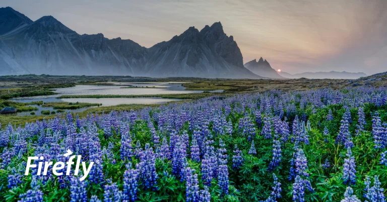 Why Are Icelandic Names So Unique? The Story Behind Surnames